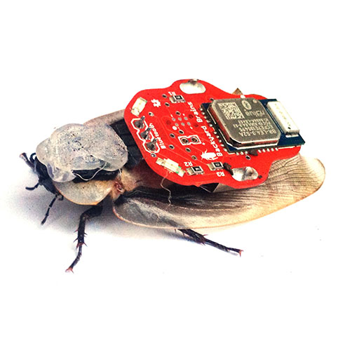 ماژول کنترل کننده حرکت RoboRoach